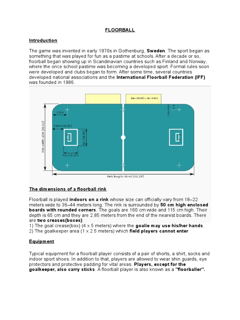 Floorball Rules | PDF | Rules | Athletic Sports