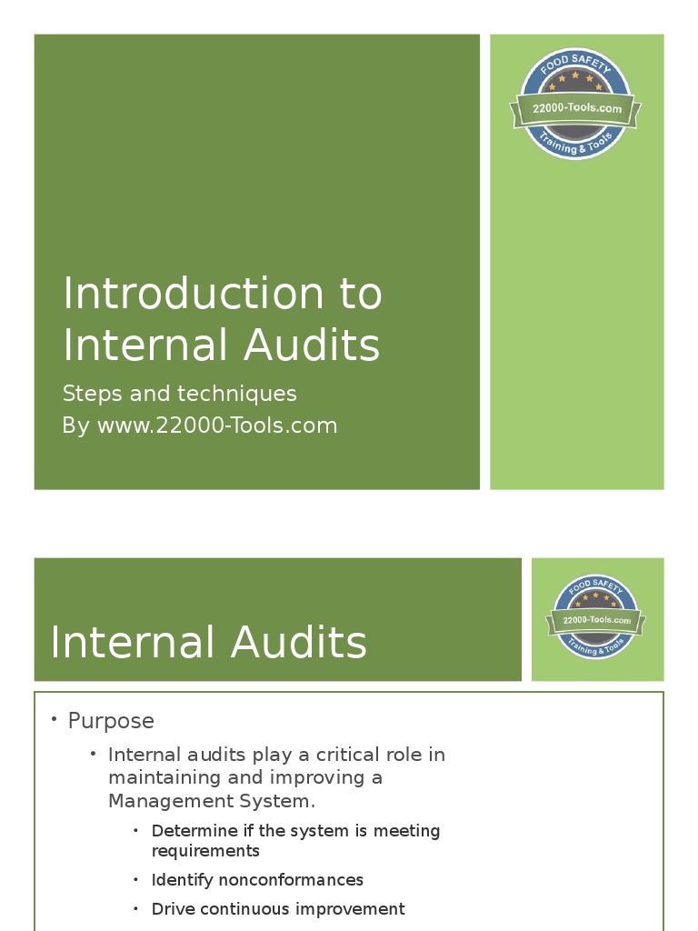 Introduction To Internal Audits | PDF | Internal Audit | Audit