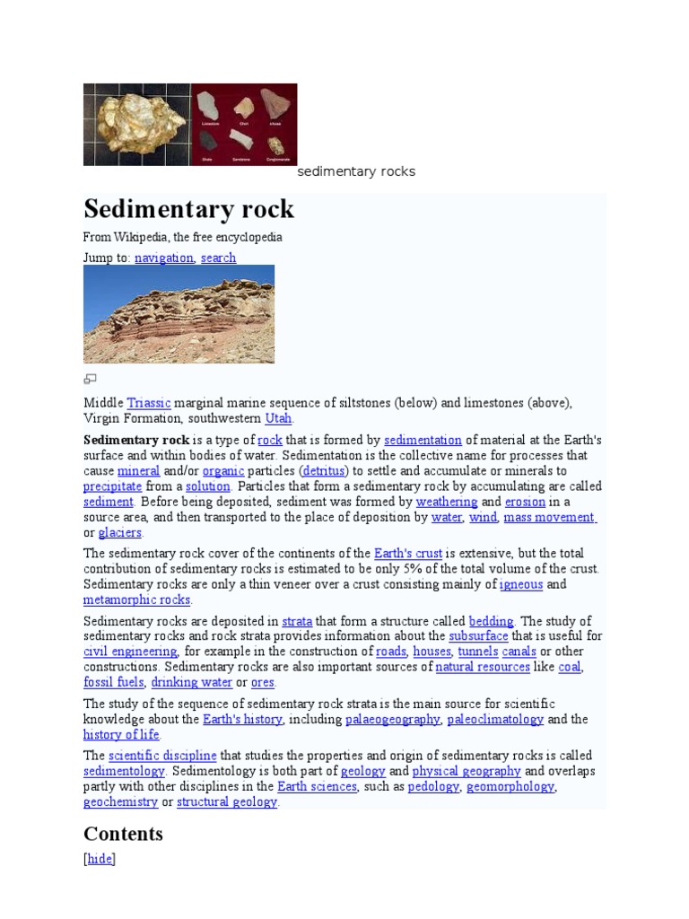 Sedimentary Rocks | PDF | Sedimentary Rock | Clastic Rock