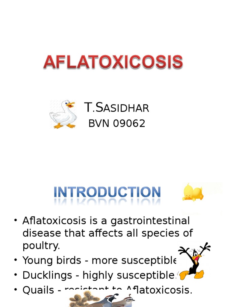 Aflatoxicosis in Poultry: Causes & Effects | PDF
