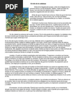 Batalla Naval Verbos | PDF | Verbo | Juego de azar