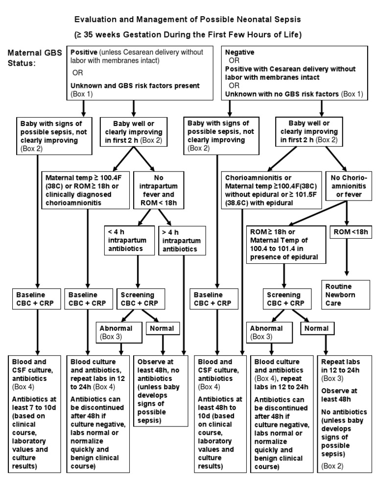 Sepsis Updated Algorithm | PDF | Wellness | Self-Improvement