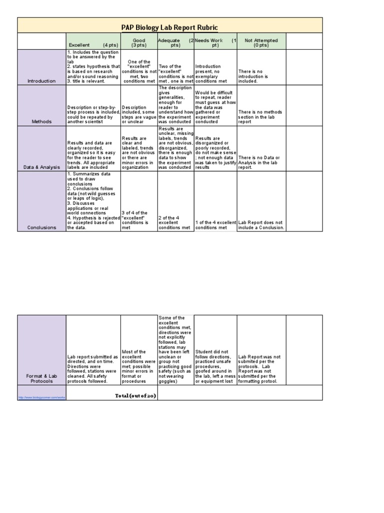 PAP Biology Lab Report Evaluation Rubric | PDF | Career & Growth | Wellness