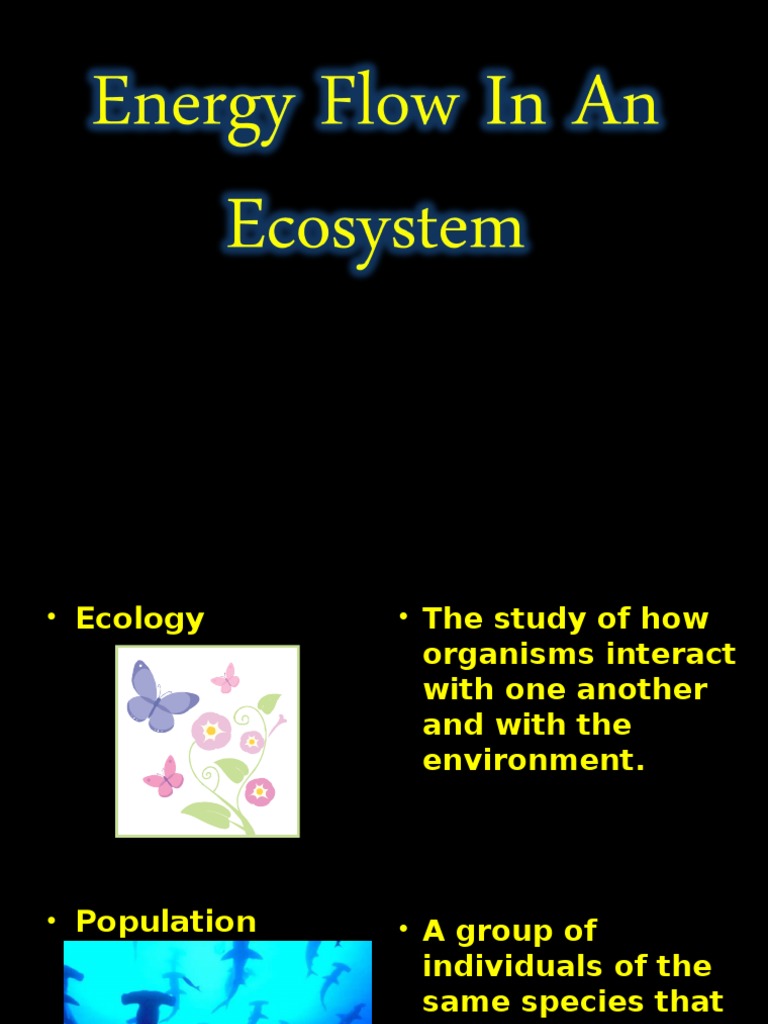 PowerPoint Energy Flow in An Ecosystem | PDF | Food Web | Ecosystem