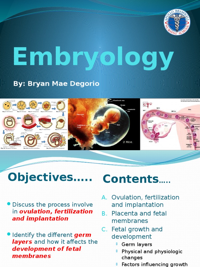 Embryology | PDF | Fertilisation | Prenatal Development