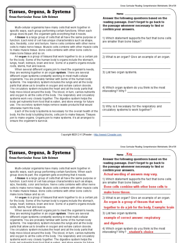 Tissues Organs and Systems-9 7 15 | PDF | Human Body | Organ (Anatomy)