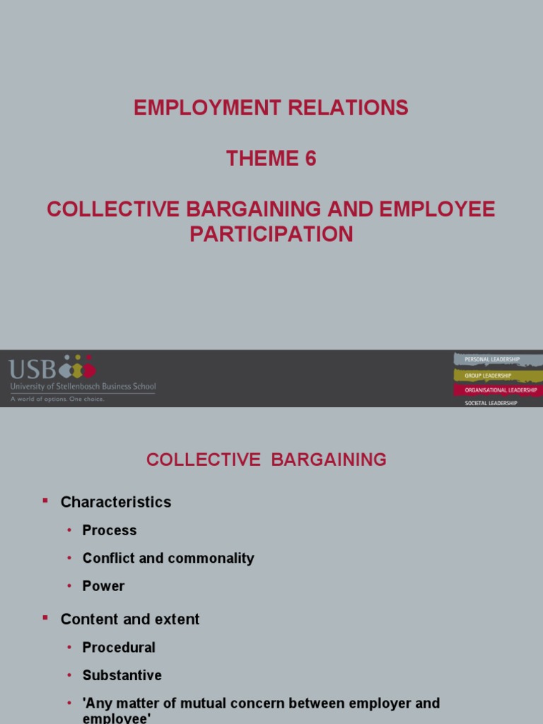 Theme 6 - Collective Bargaining and Employee Participation | PDF ...