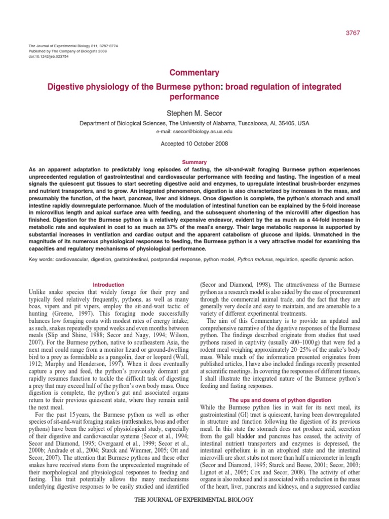 Digestive Physiology of The Burmese Python Broad Regulation of ...