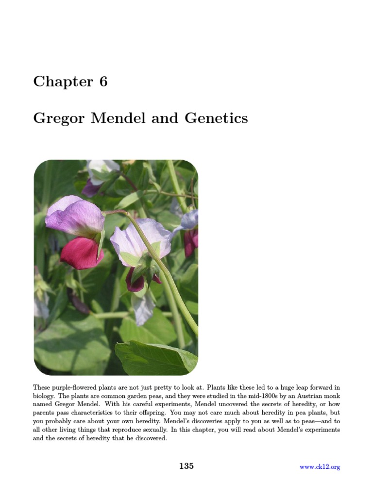 Chapter 6 - Gregor Mendel and Genetics | PDF | Dominance (Genetics ...