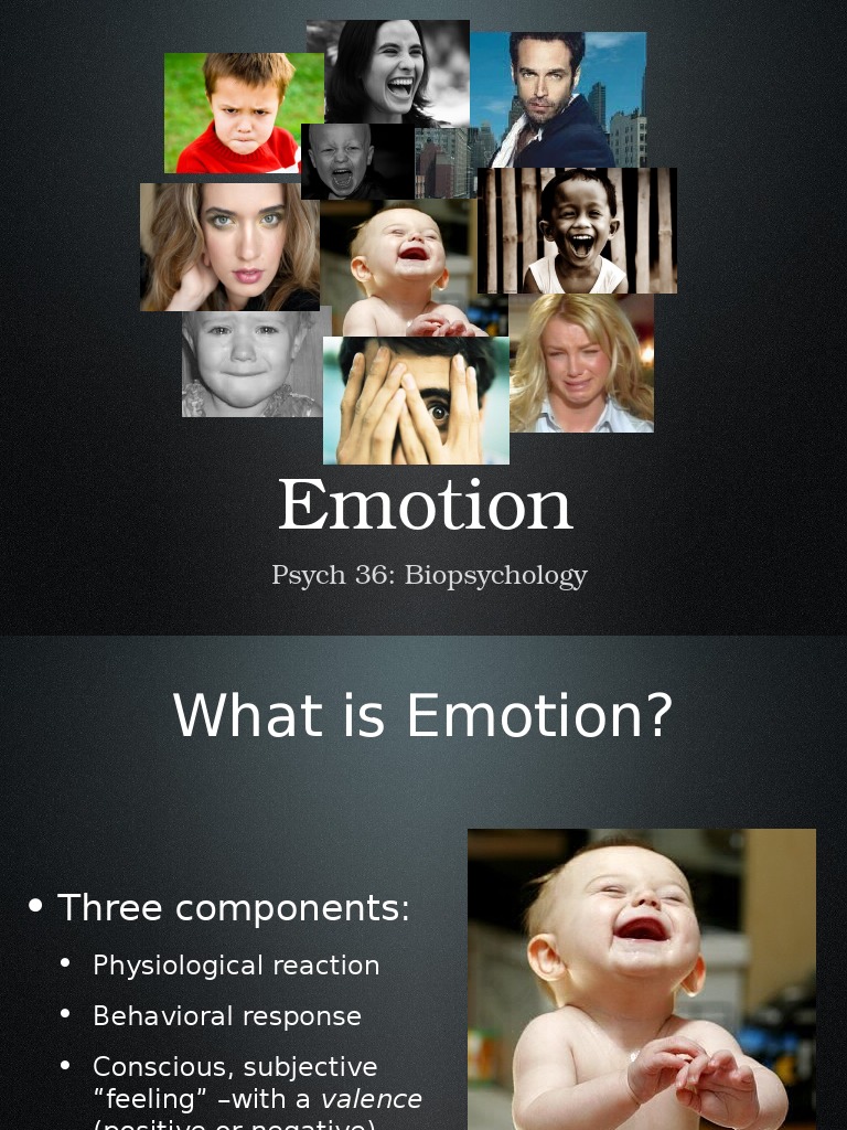 Emotions Lecture Pdf Amygdala Emotions