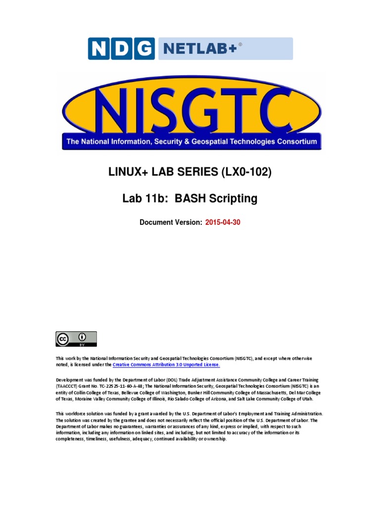 Bash Scripting | PDF | Information Technology Management | Software ... Bash Scripting | PDF | Information Technology Management | Software ...
