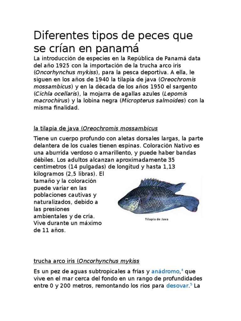 Diferentes Tipos de Peces Que Se Crían en Panamá | Pescado | Peces y ...