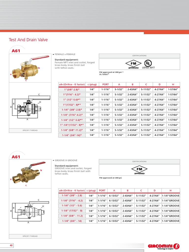 Giacomini Test and Drain | Valve | Fire Sprinkler System