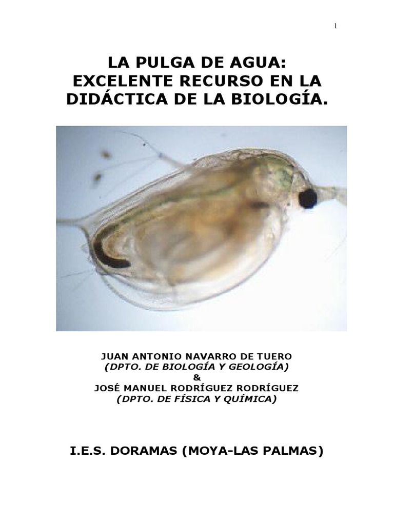 Pulga de Agua: Biología y Utilidad | PDF | Hogar, jardinería y ...