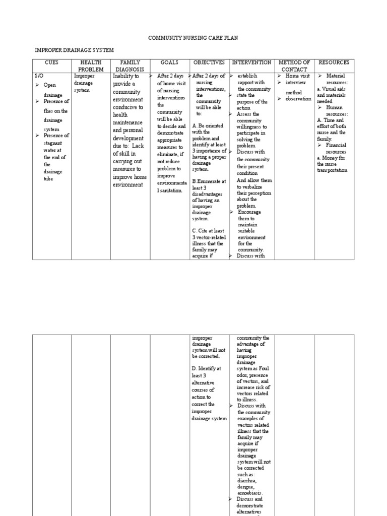Community Nursing Care Plan | PDF | Health Sciences | Health Care
