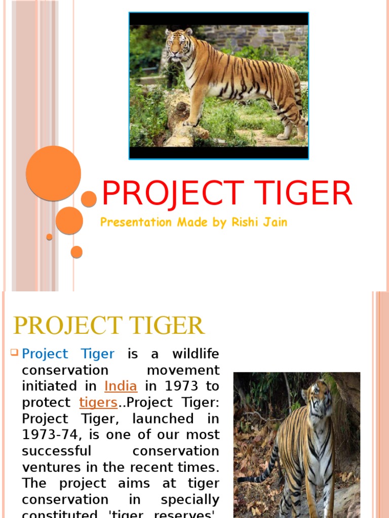 On Projec Tiger | PDF | Tiger | Conservation