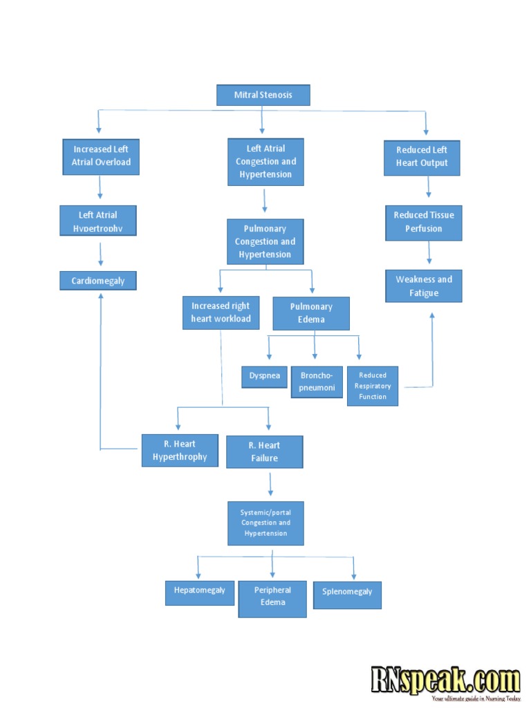 Pathophysiology of Heart Failure Flowchart | PDF
