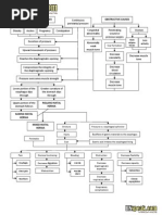 Pathophysiology of ALL (Diagram) | PDF | Medical Specialties | Clinical ...