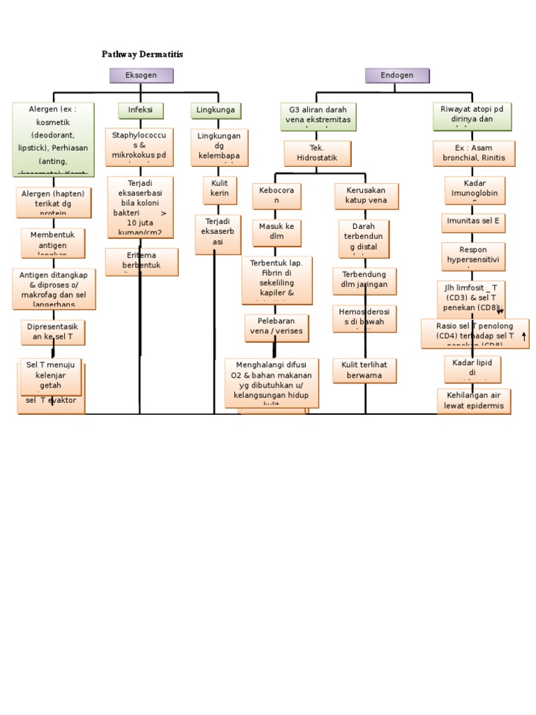 Pathway Dermatitis | PDF