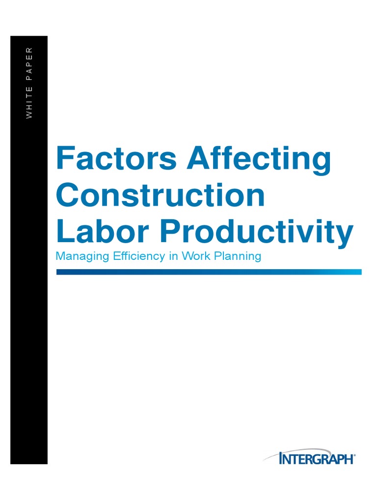 Factors Affecting Labour Productivity | PDF | Business | Art