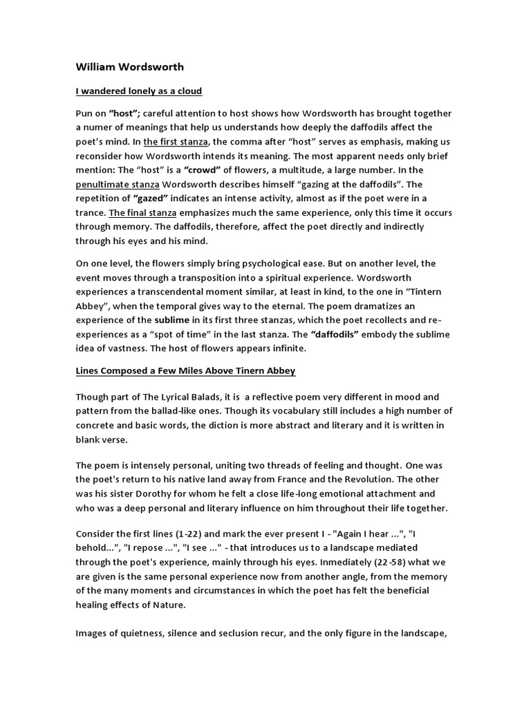 Essay On William Wordsworth | PDF | Poetry | Cognitive Science