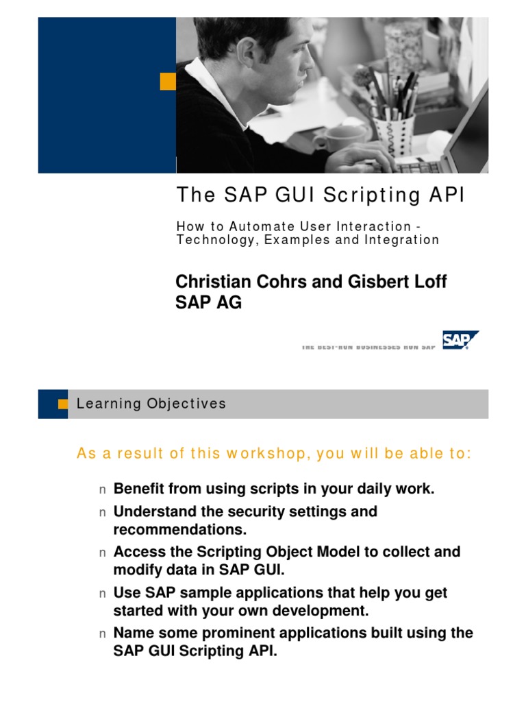 The Scripting Api Sapgui Pdf Graphical User Interfaces Scripting Language