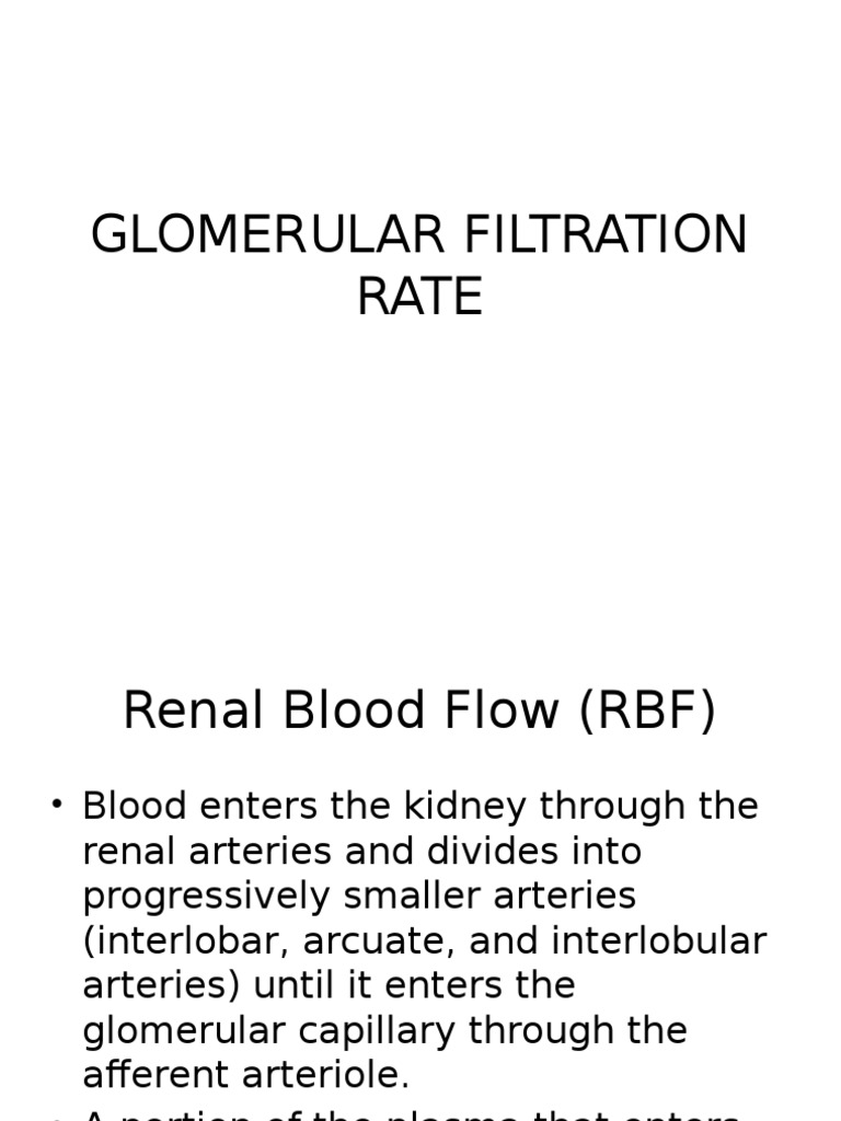 Understanding Glomerular Filtration Rate | PDF | Renal Function ...