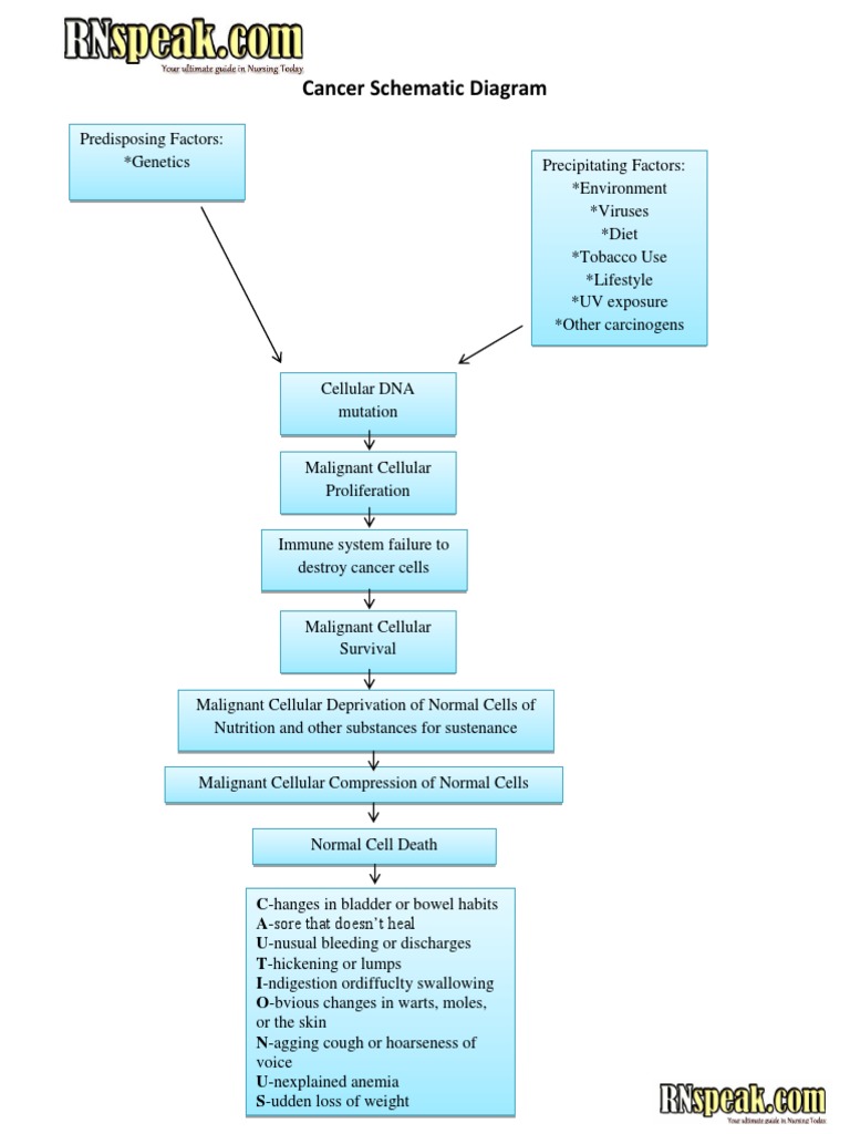 [DIAGRAM] Prostate Cancer Diagrams - WIRINGSCHEMA.COM