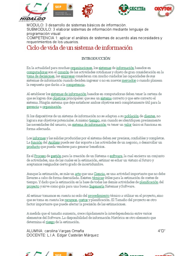 Prototipos en Sistemas de Información | PDF