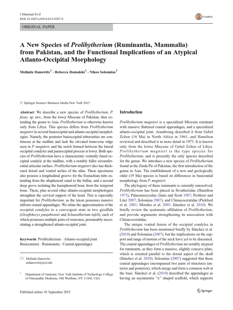 A New Species of Prolibytherium | PDF | Skull | Anatomical Terms Of ...