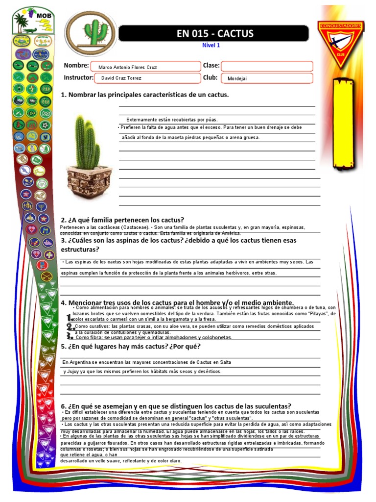 En 015 Cactus | PDF | Panes | Plantas Domesticadas