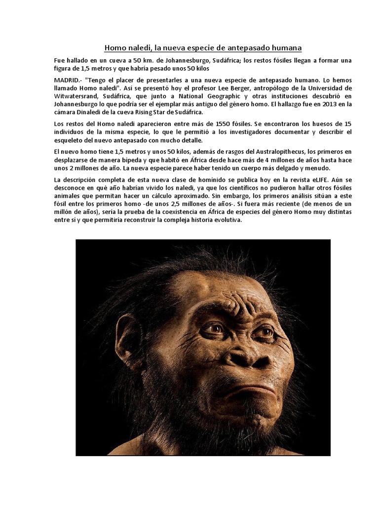 Homo Naledi | PDF | Homo | Homo Sapiens