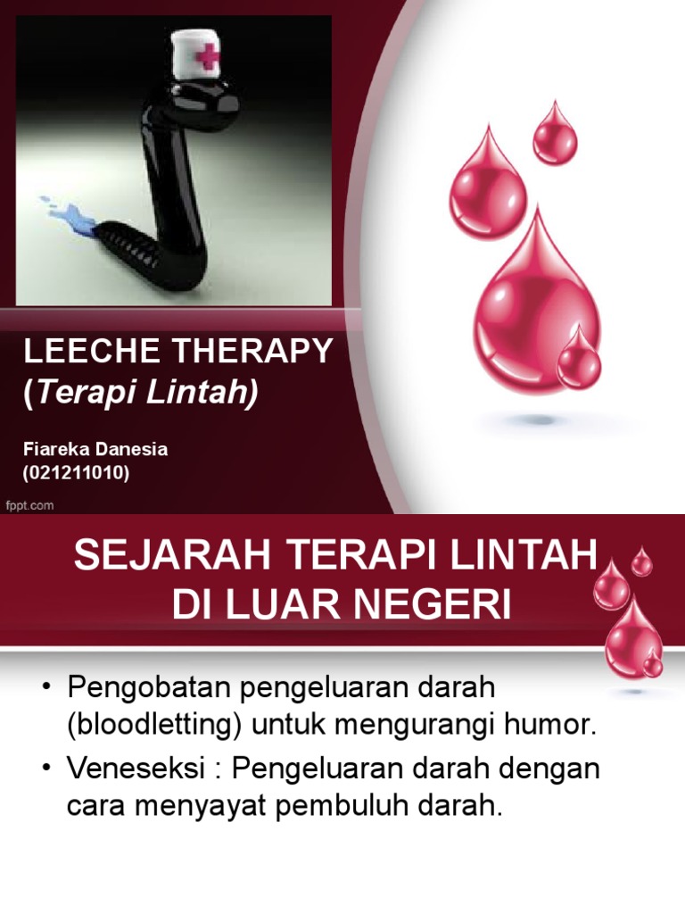 Terapi Lintah | PDF