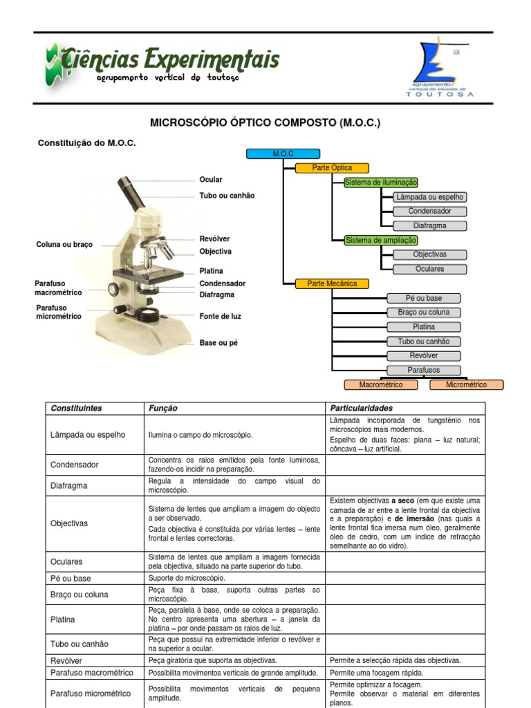 MicroscÓpio Óptico Composto (m.o.c.)