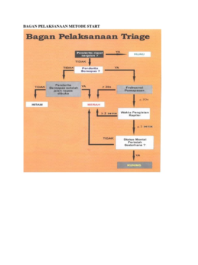 Bagan Pelaksanaan Metode Start Triage | PDF