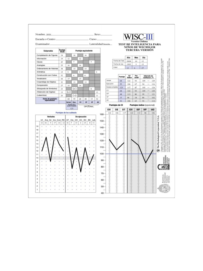Ejemplo Protocolo Lleno Wisc III | PDF