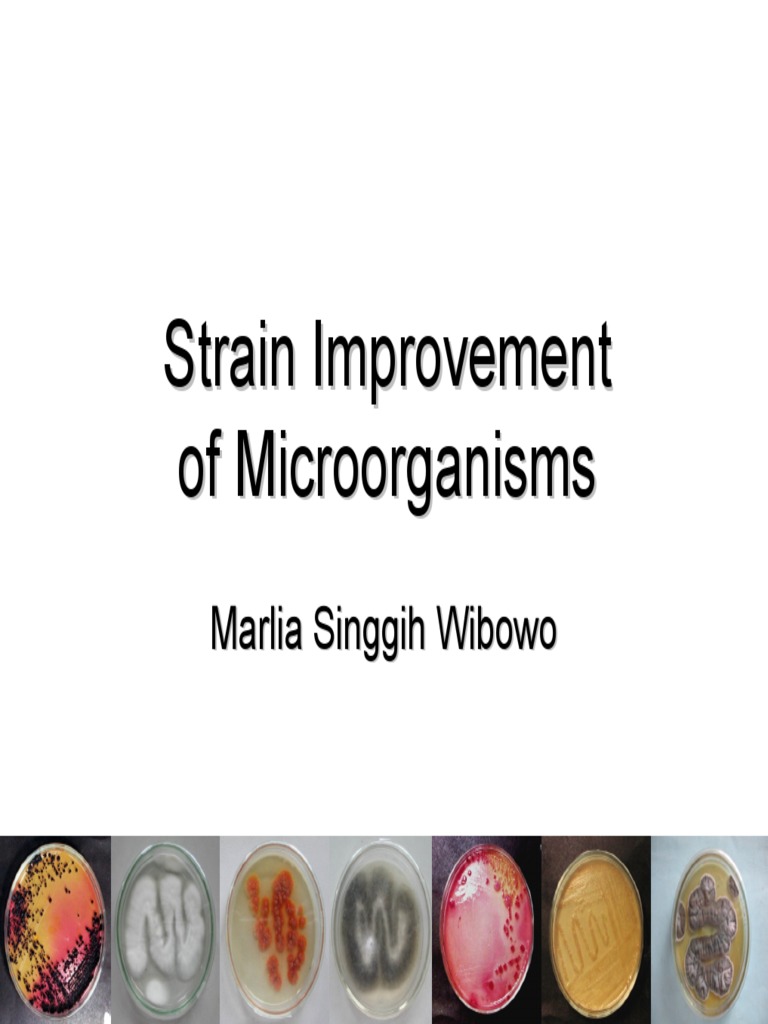 Strain Improvement of microorganisms.pdf | Mutagenesis | Mutation