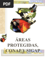 Qué Es El CONAP | PDF