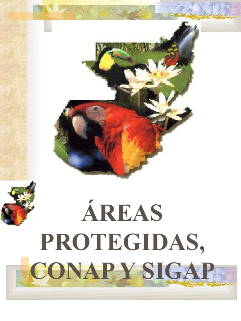 Areas Protegidas, Conap y Sigap. | PDF | Biodiversidad | Biogeoquímica
