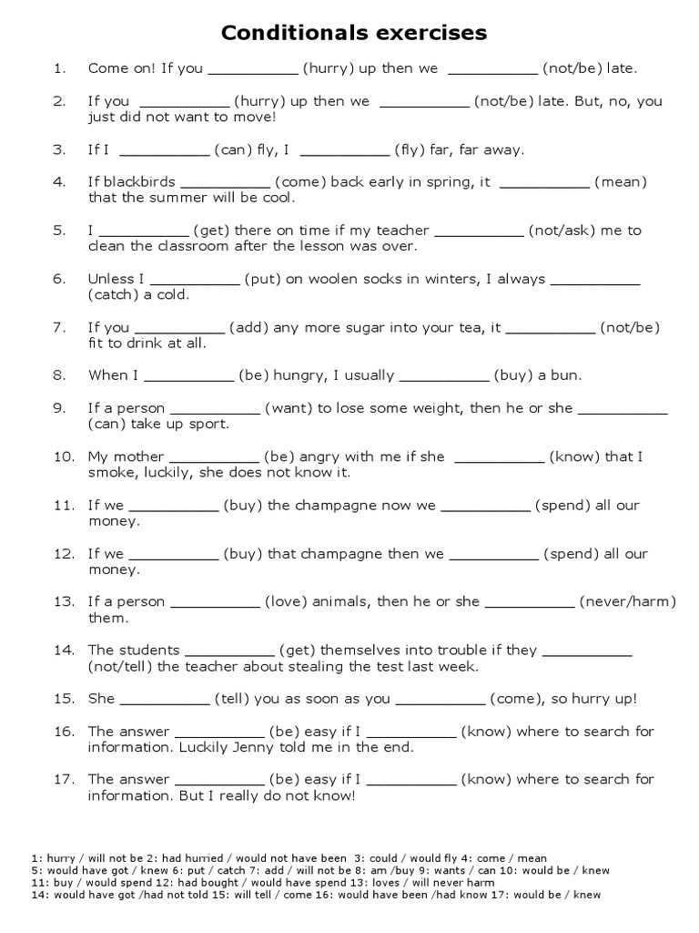 Conditionals Exercises | PDF