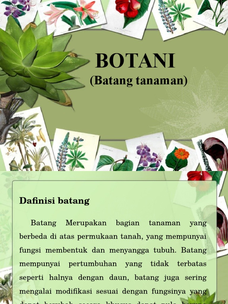 BOTANI Unhas | PDF