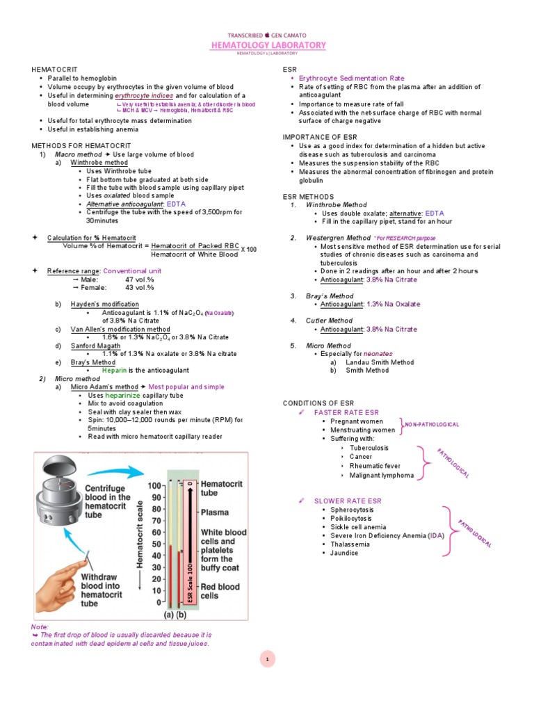 Hematology Laboratory | PDF | Red Blood Cell | Anemia