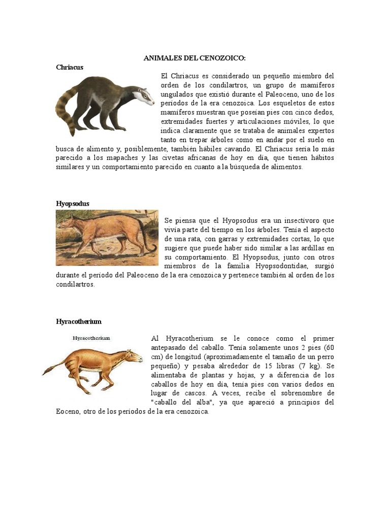 Animales Del Cenozoico