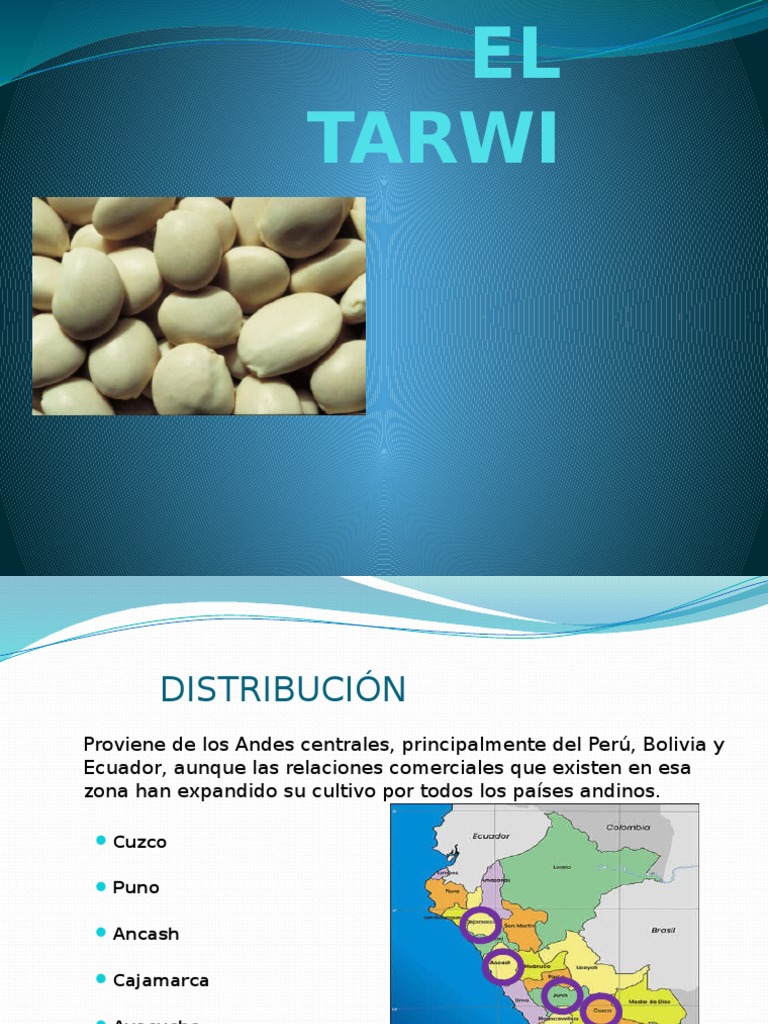 El Tarwi | PDF | Agricultura | Perú