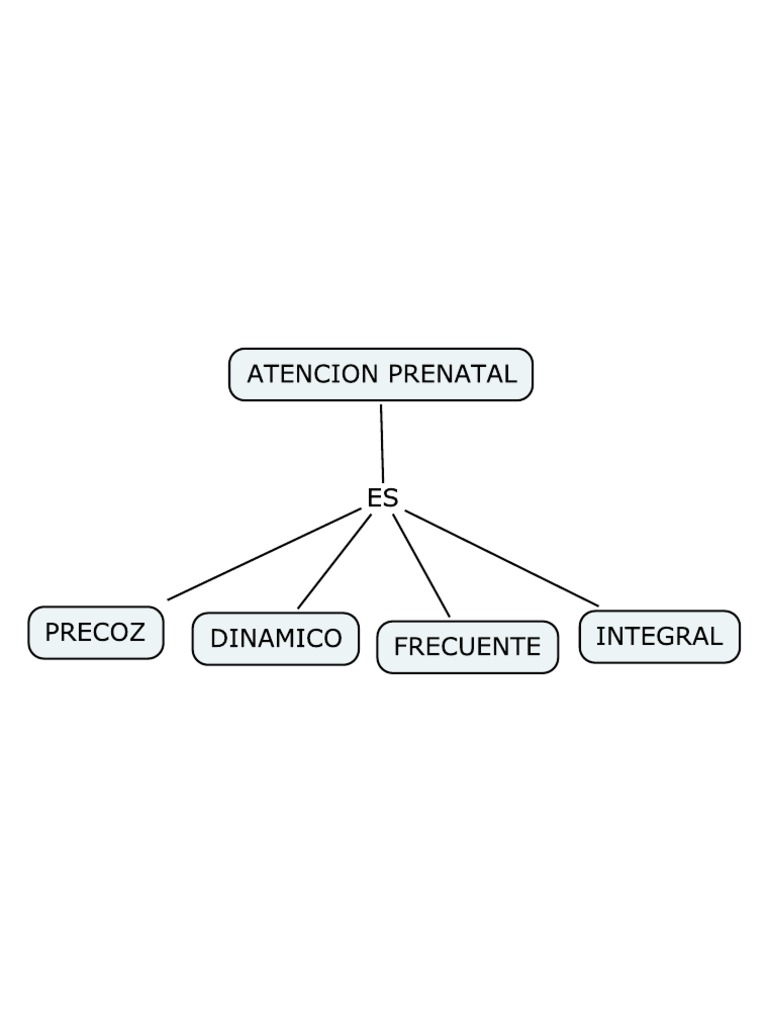 Mapa Conceptual 1 - Control Prenatal | PDF