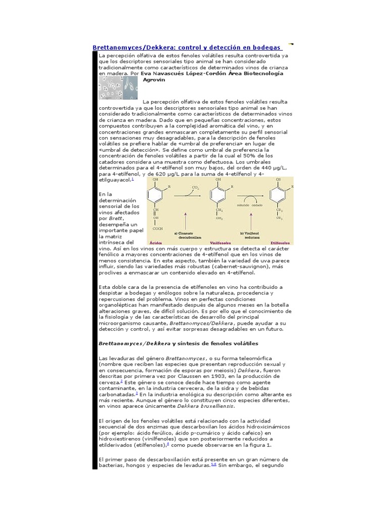 Control de Brettanomyces en Vinos | PDF | Vino | Microorganismo