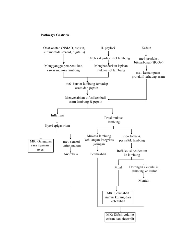 Pathways Gastritis