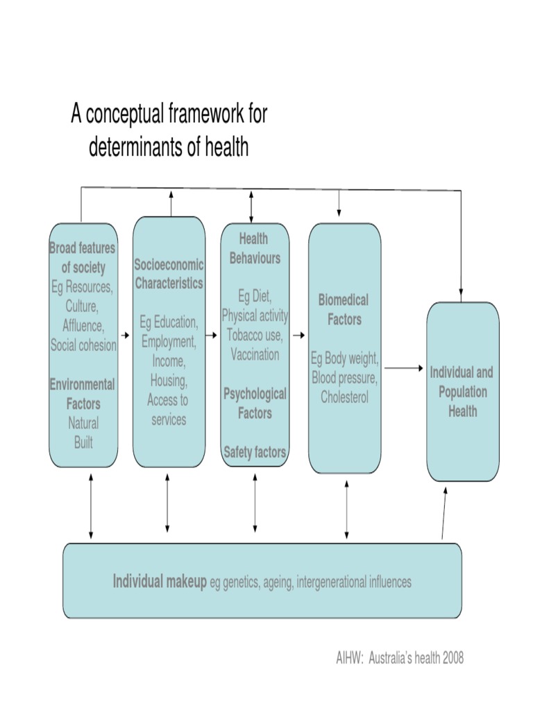 Determinants of Health Framework | PDF