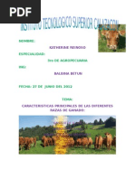 Sistema de Producción de Leche en Granjas Bovinas Familiares | PDF | Vacas | Leche