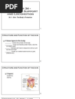 The Skeletal System - Skeleton - Living Organisms - KS3 Biology - BBC ...